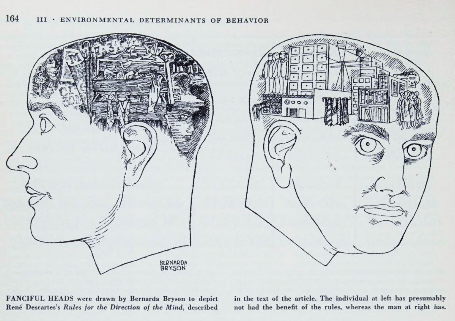 LE CRÉDAC — Plumes, œillets, chaussures, peaux